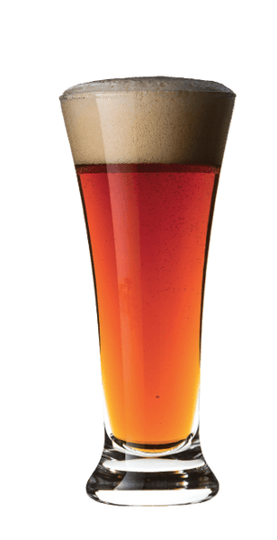 Copper Ridge Amber Ale - Grain To Glass Extract Beer Recipe Kit