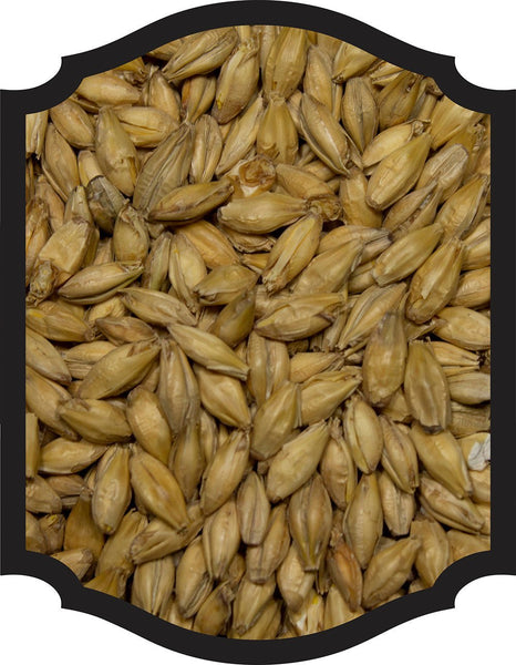 Pilsner Malt - Dacotah Malt (Canadian) 1LB